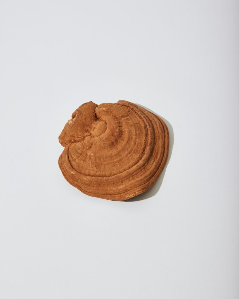 Adaptogens 101: Nature’s Stress Shields Explained | Medicosmetica